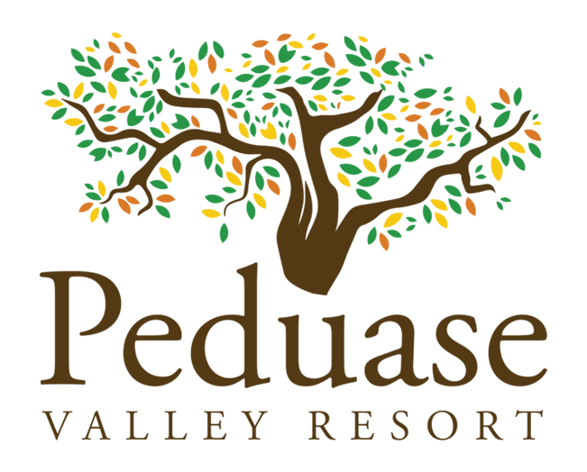 Events & Meetings - Peduase Valley Resort